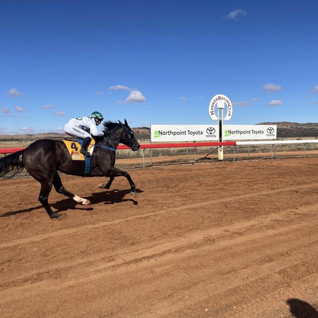 What's on around Port Augusta | The Transcontinental