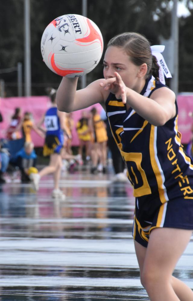 Netball news around Port Augusta | The Transcontinental