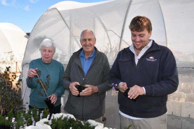 What's on around Port Augusta | The Transcontinental