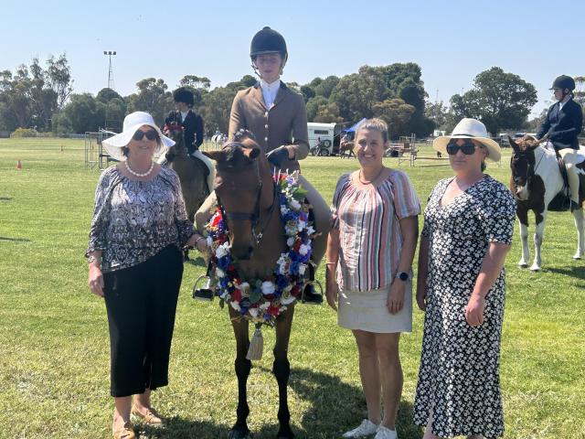 Warm Wilmington Show provides cheer | The Transcontinental