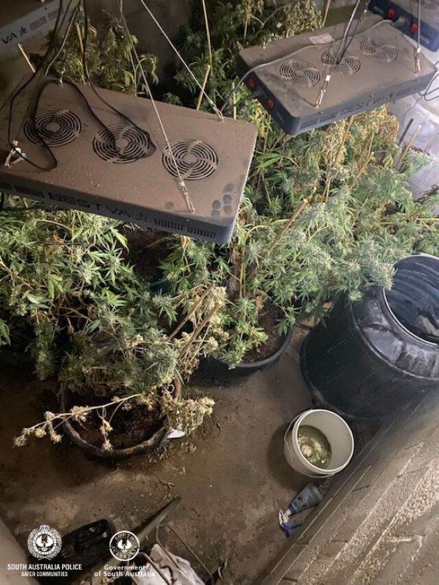 Police deal with drug bust | The Transcontinental