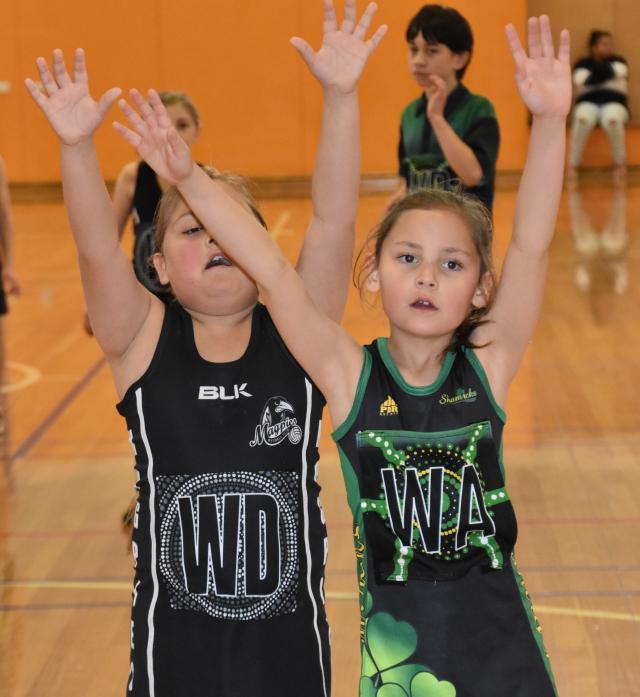 Netball news around Port Augusta | The Transcontinental