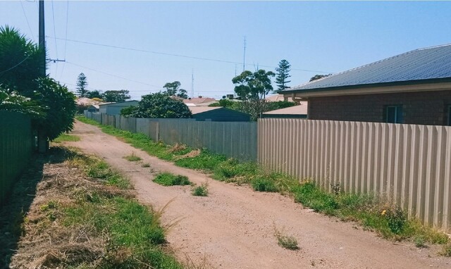 Hicks Story - A True Story | The Transcontinental