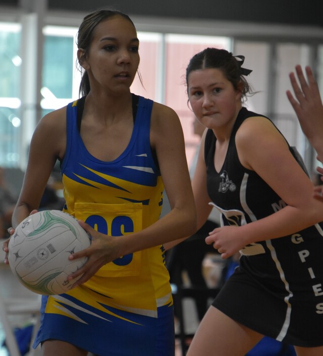 Vikings work hard for win | The Transcontinental