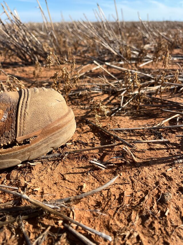 Another dry season | The Transcontinental