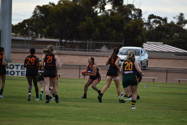 Bags of six for Reid, Butler | The Transcontinental