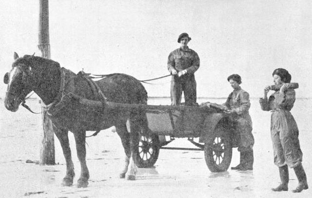 Women prove their worth | The Transcontinental