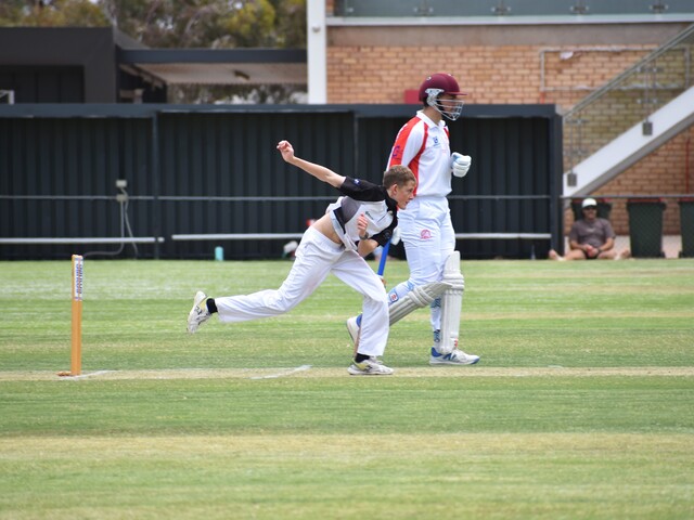 Cricket back for new year | The Transcontinental